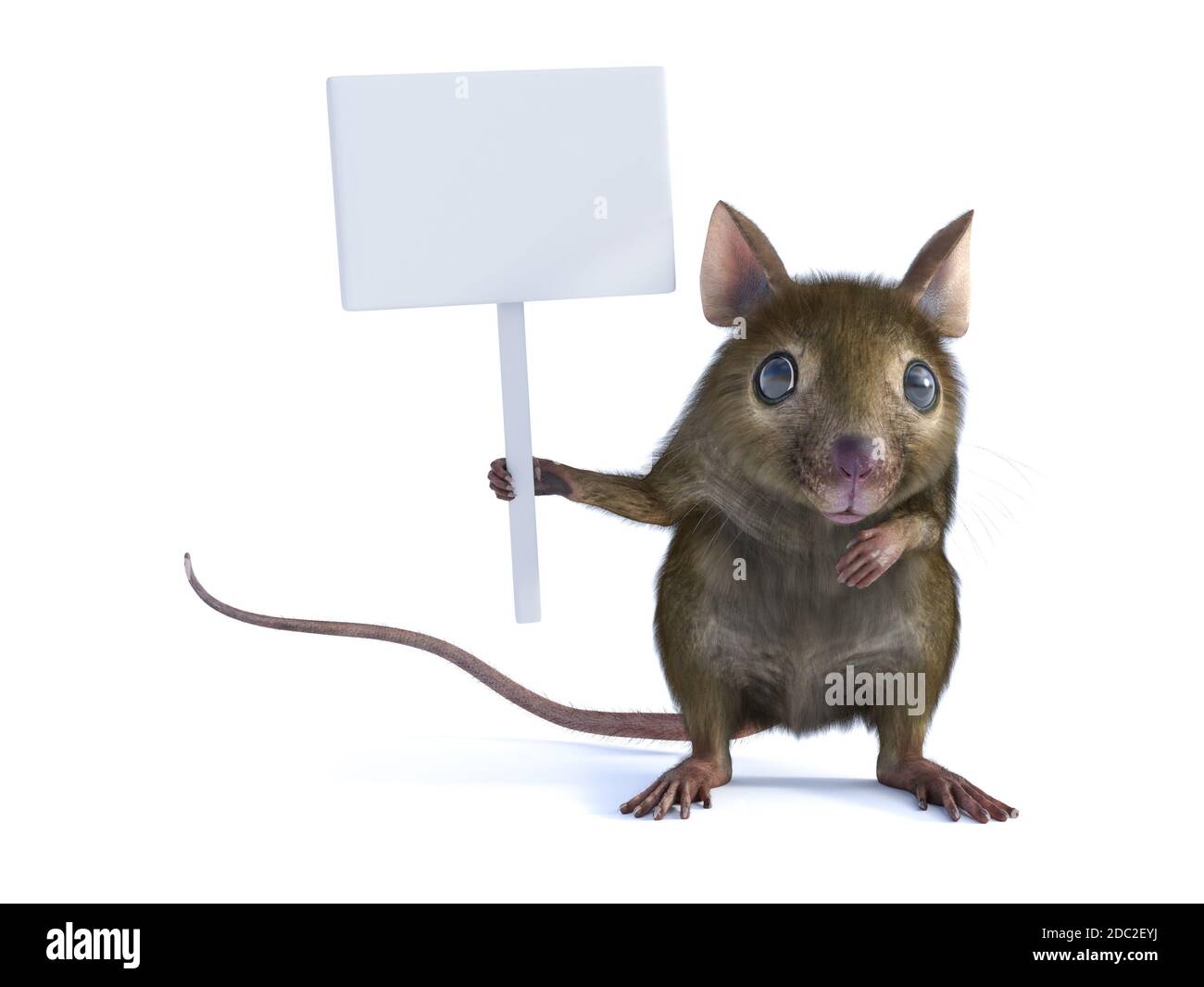 Cartoon Mouse Standing On Hind Legs
