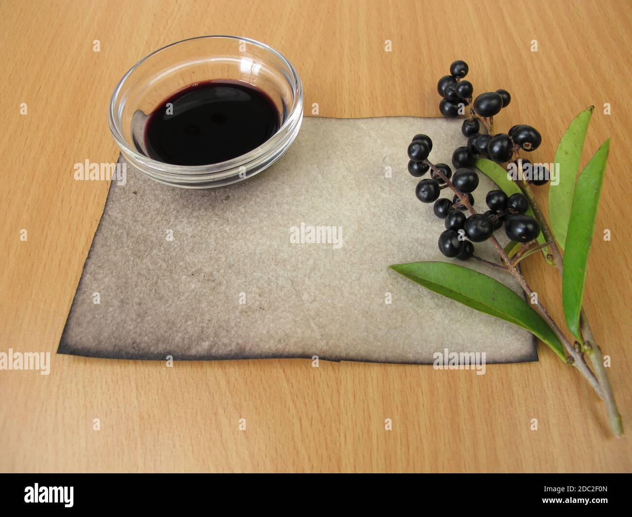 Handmade laid paper dyed with privet ink Stock Photo - Alamy