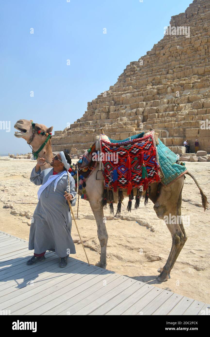 Camel handler hi-res stock photography and images - Alamy