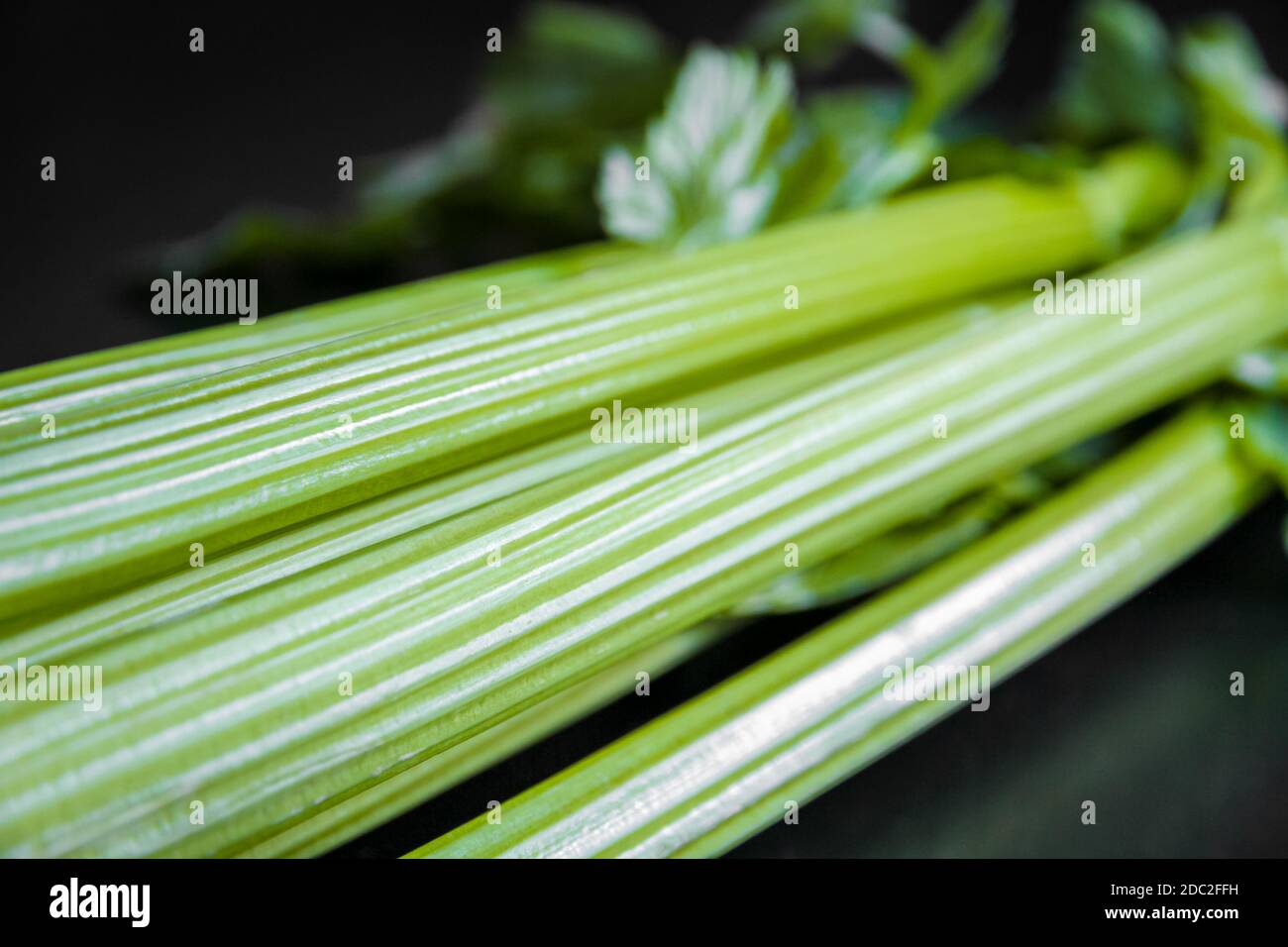 Celery branch bunch isolated on black background. Close-up view Stock ...