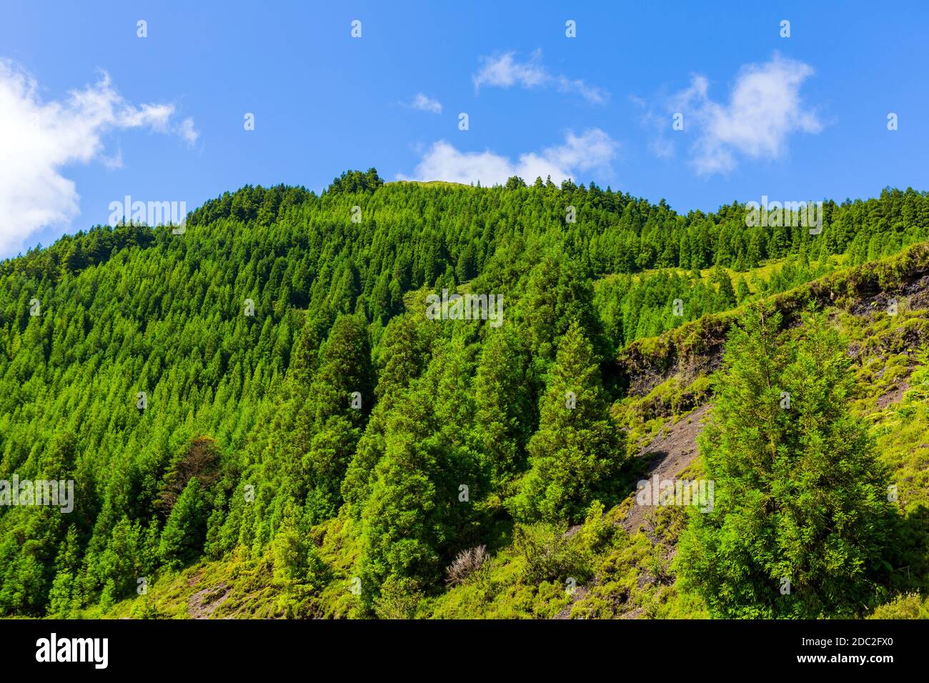 Beautiful landscape sceneries in Azores Portugal. Tropical nature in ...