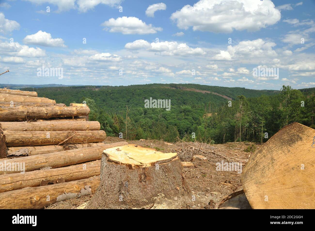 Foresters of the wood hi-res stock photography and images - Alamy