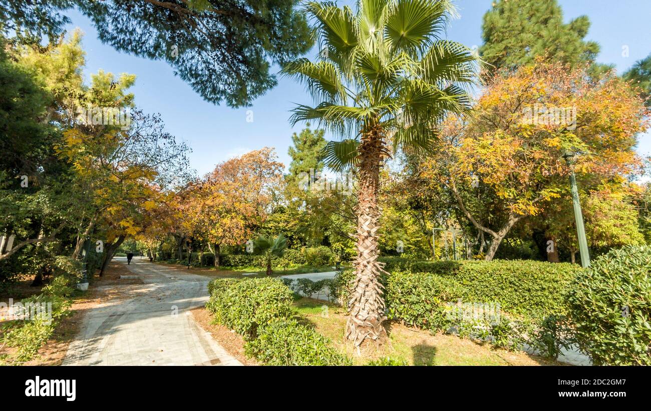 Park of Pedion tou Areos (Mars Park) in downtown Athens, Greece, Europe ...