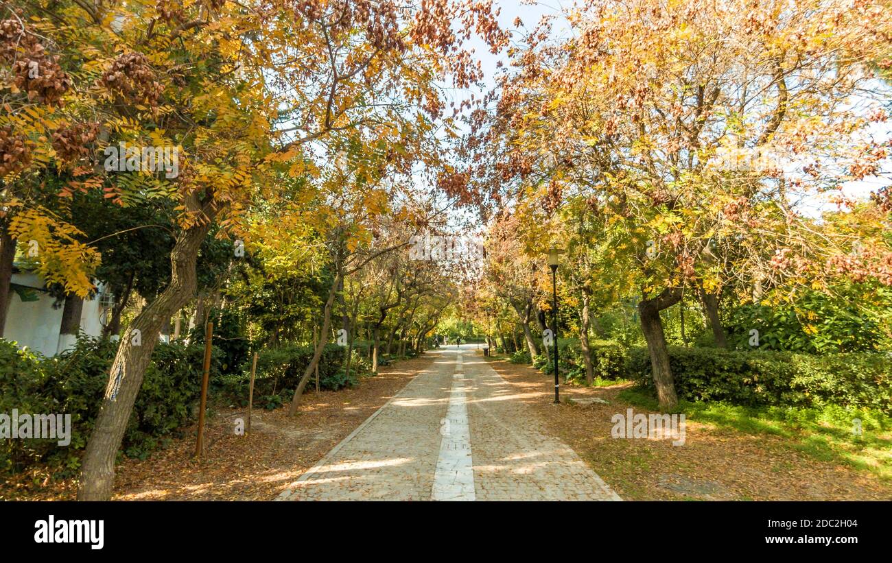 Park of Pedion tou Areos (Mars Park) in downtown Athens, Greece, Europe ...