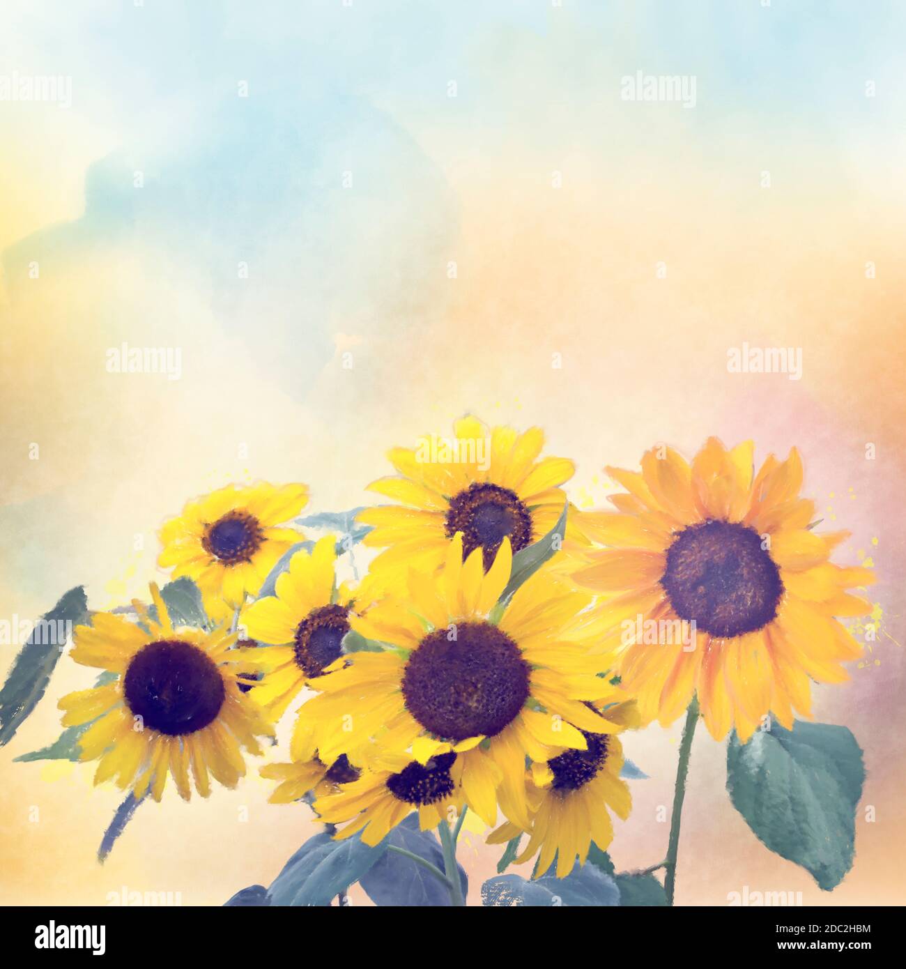 Watercolor digital painting of sunflowers. Digital illustration Stock ...