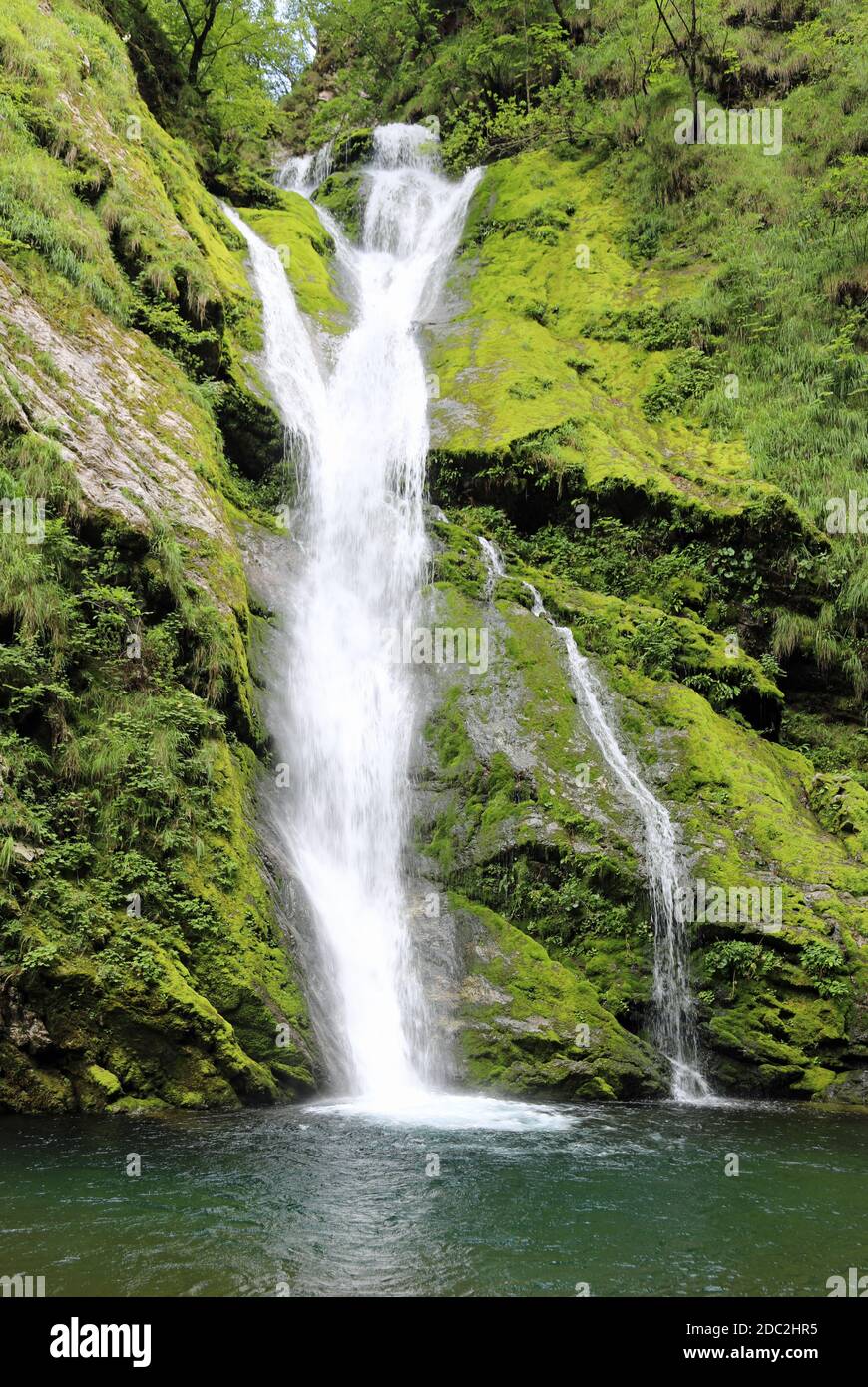 small waterfall in the middle of the lush forest with the clean and ...