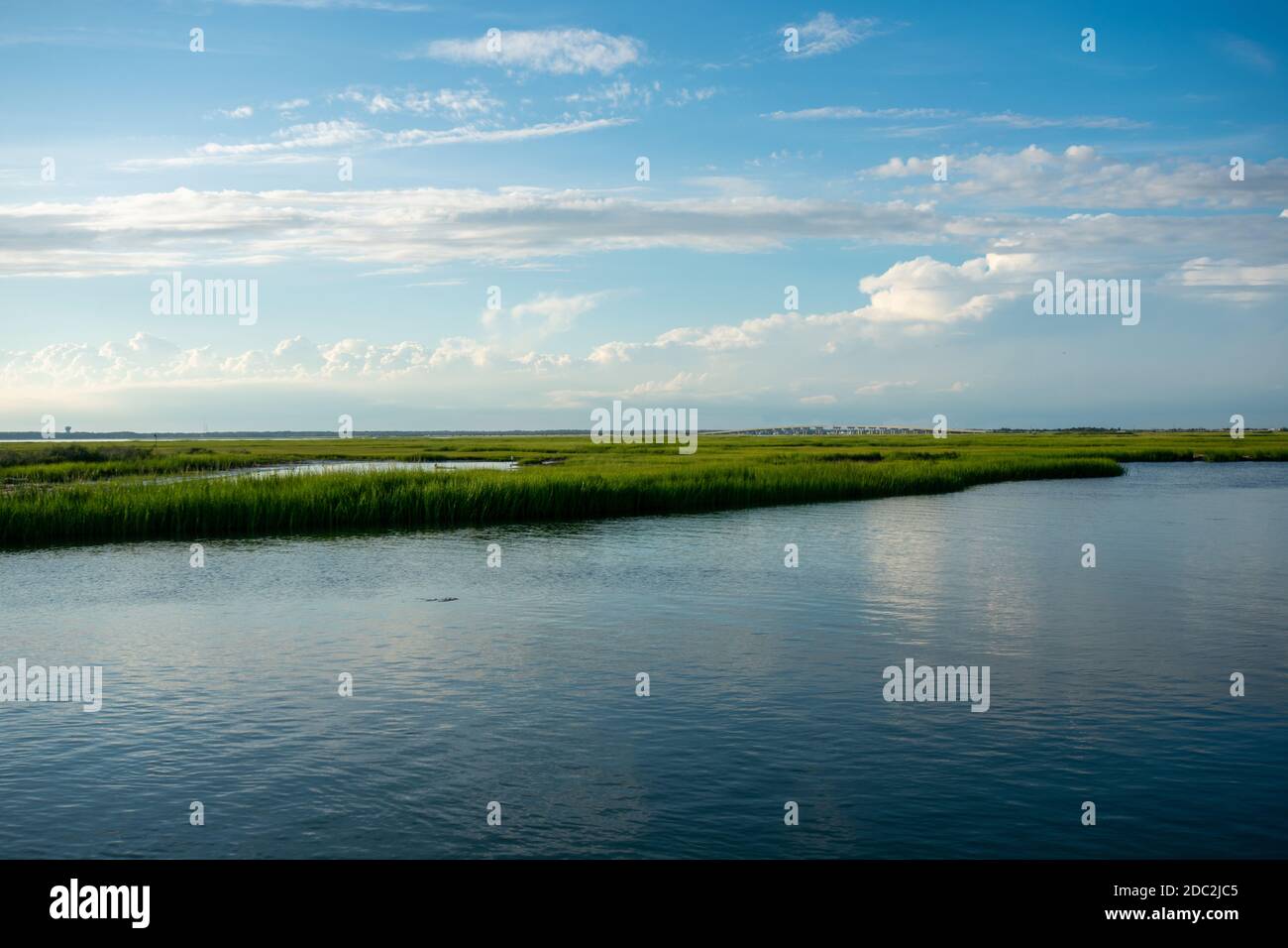 A Gorgeous View of the Bay and Lush Swampland Behind Wildwood New ...