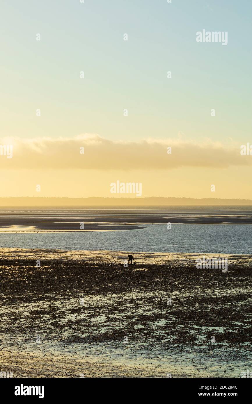 Bait Digging Beach High Resolution Stock Photography and Images - Alamy