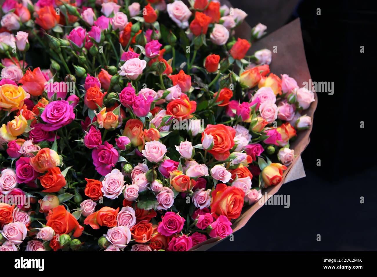Bouquet of small multi-colored roses Stock Photo - Alamy