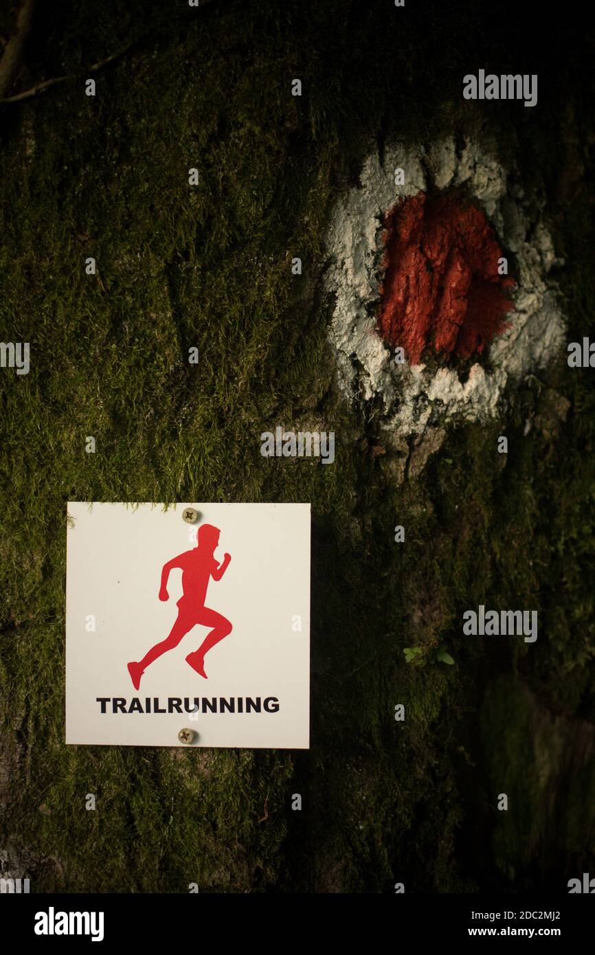 Image of a trail running track mark on a tree, along with touristic ...