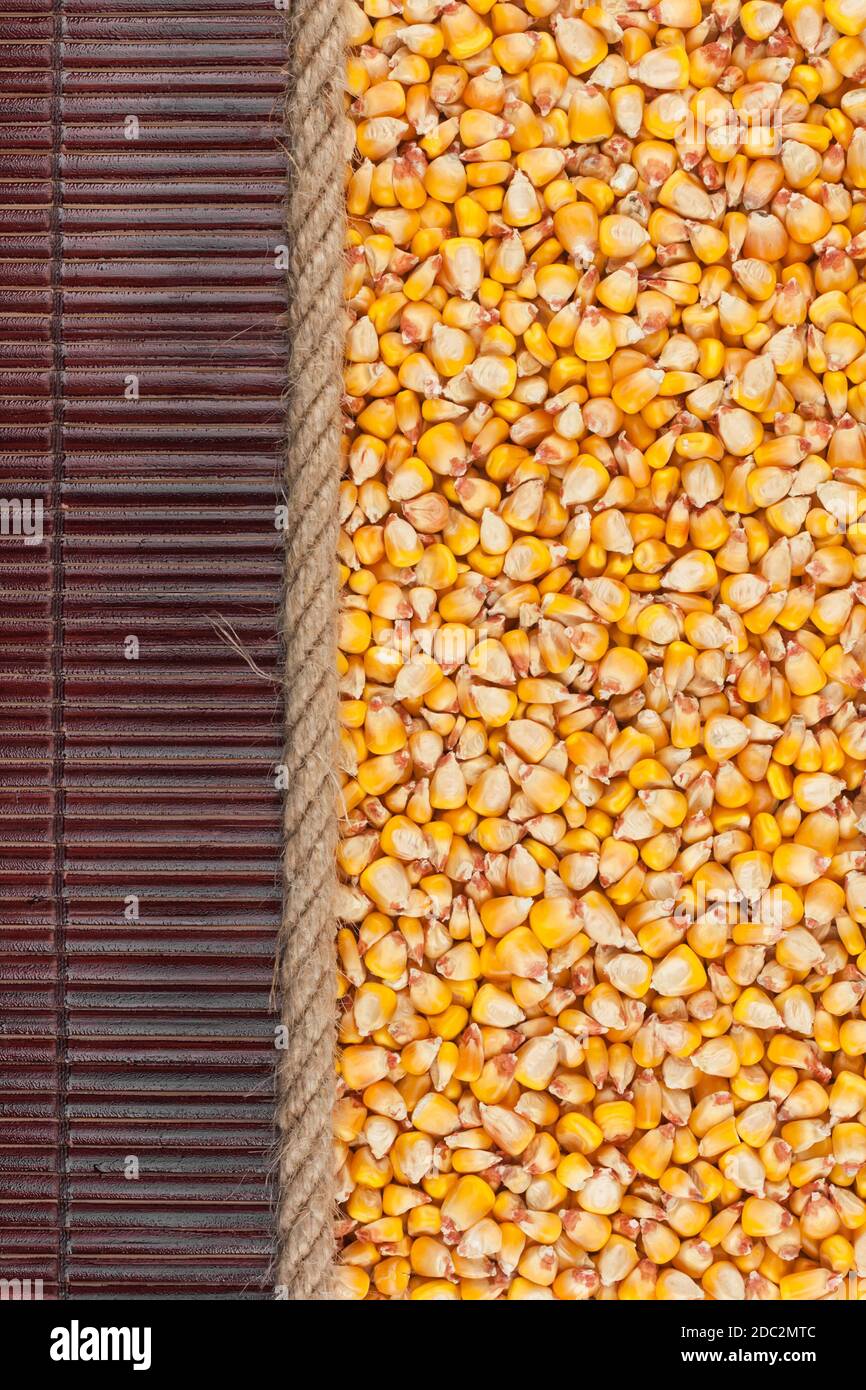 Corn lying on dark bamboo mat, for menu, can be used as background ...
