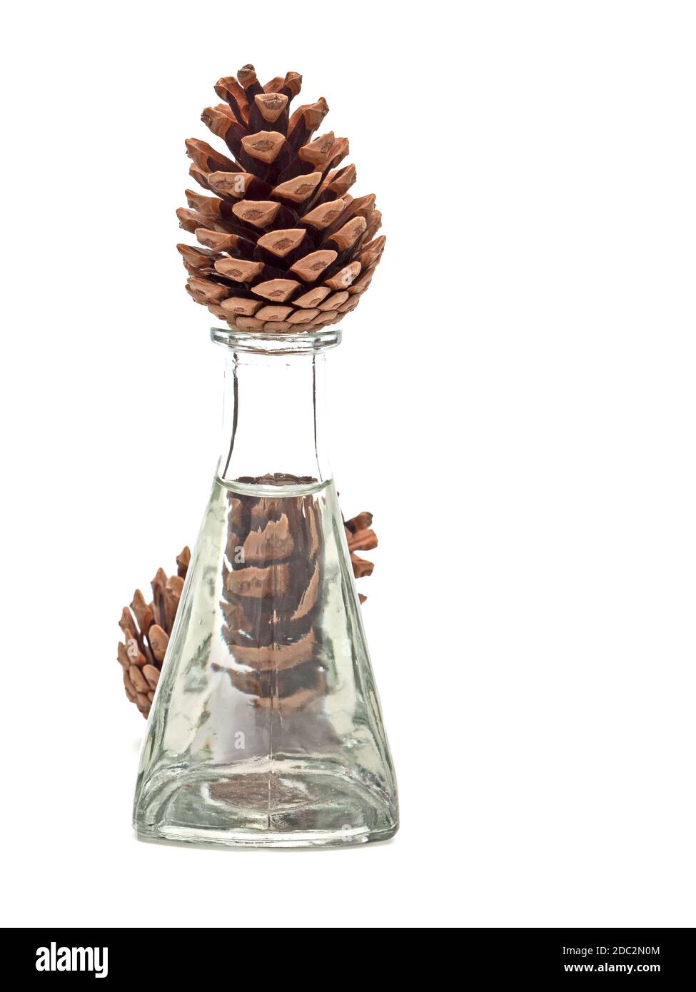 Pine cones still life, pedestal, isolated on white background Stock ...
