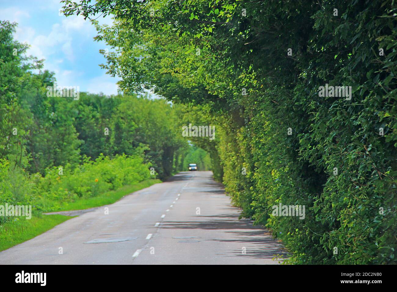 Asphalt road green roadsides bushes hi-res stock photography and images ...