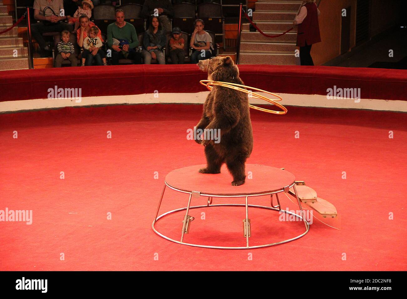 Circus bear hi-res stock photography and images - Alamy