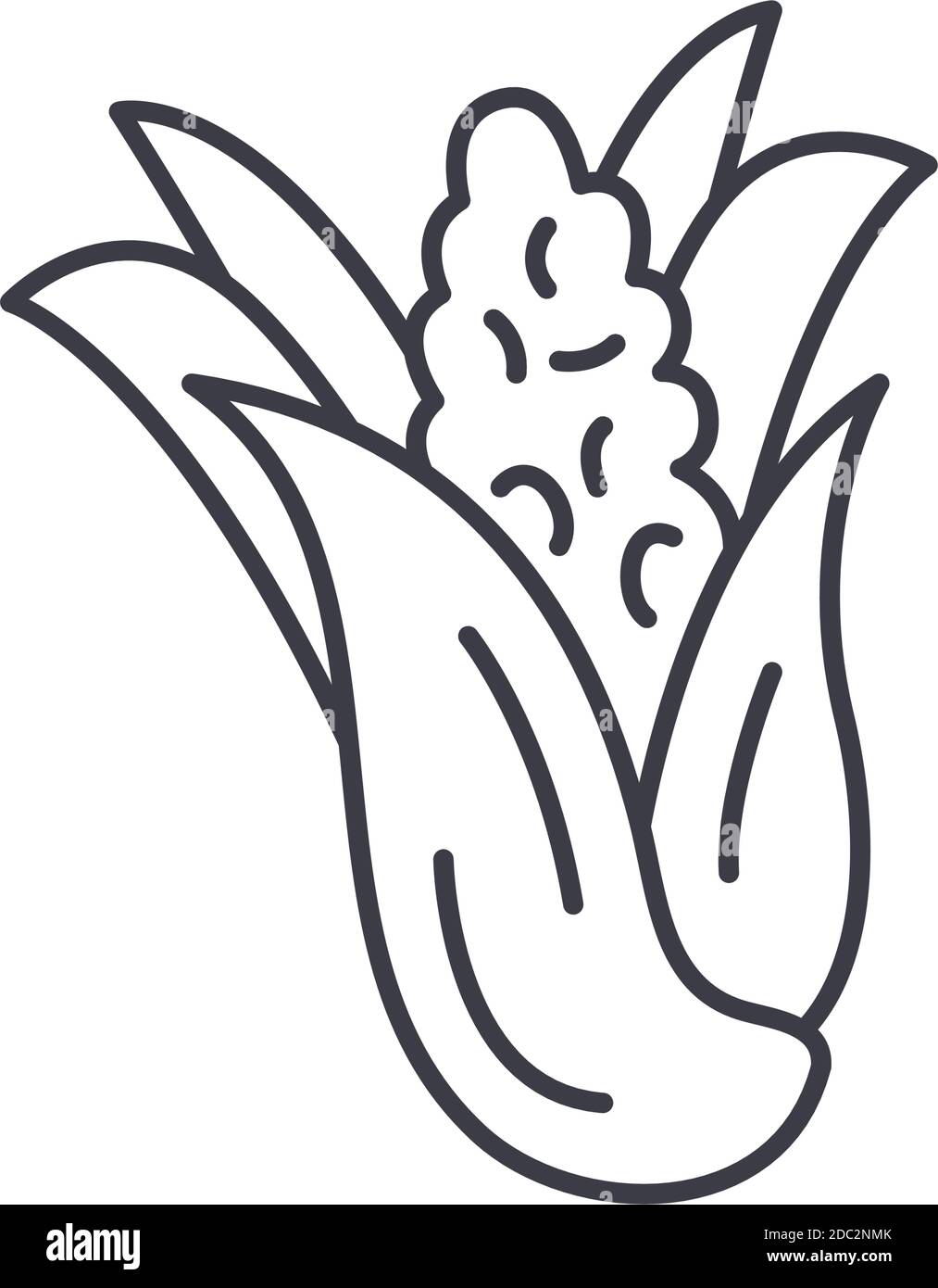 Corn Line Drawing