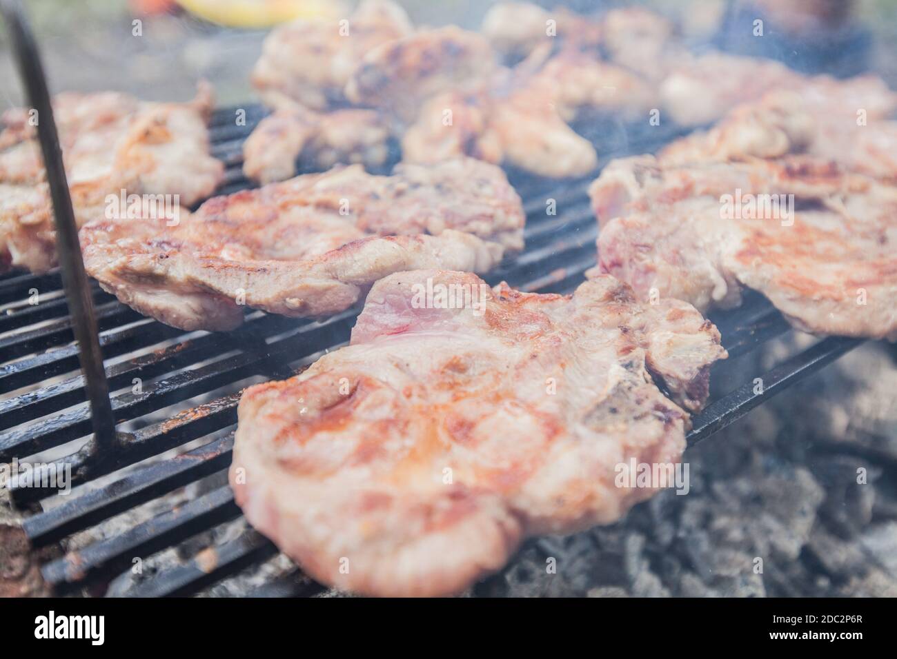 Grilled Meat , summer picnic , cooking food outdoor Stock Photo - Alamy