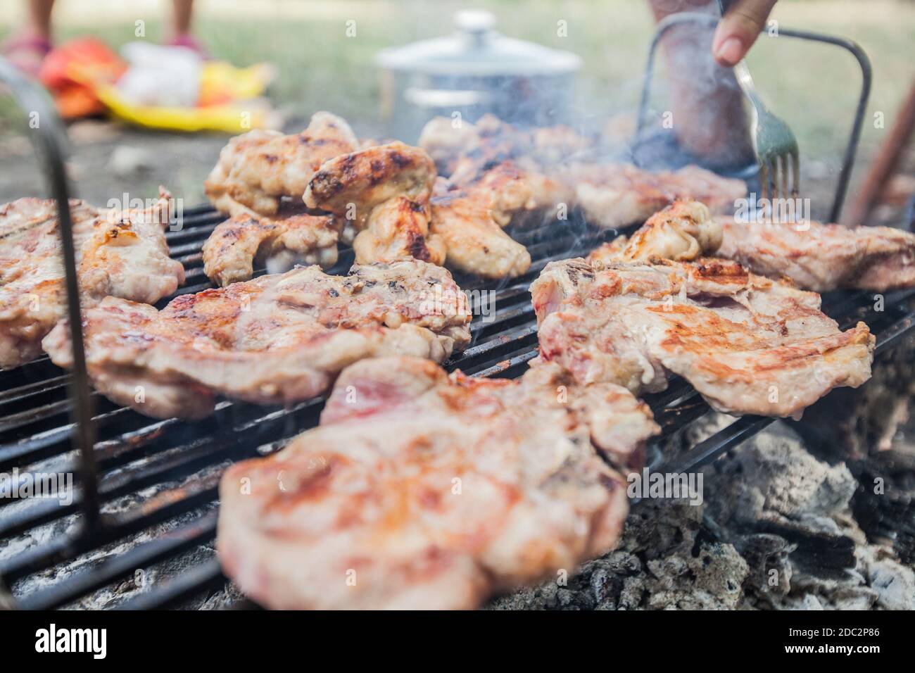 Grilled Meat , summer picnic , cooking food outdoor Stock Photo - Alamy
