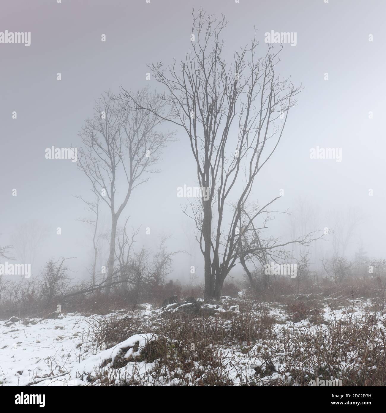 Narnia landscape hi-res stock photography and images - Alamy