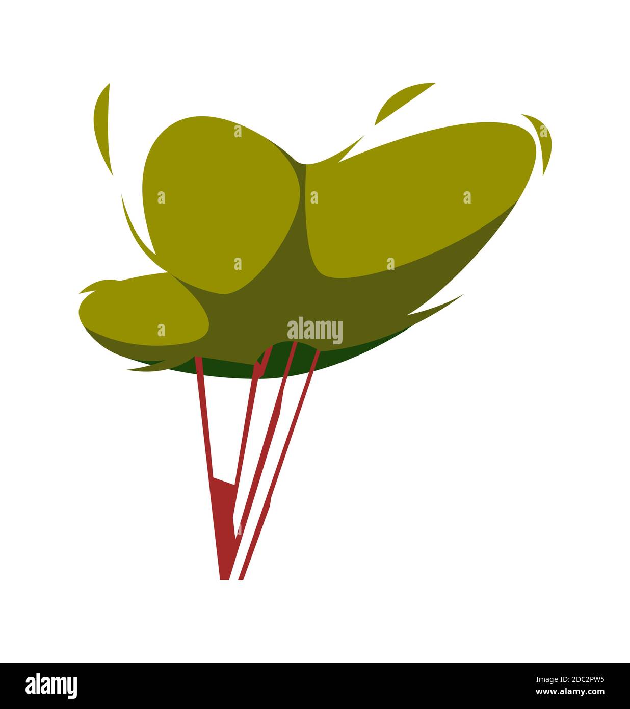 Tree with green foliage, natural object isolated on white background ...