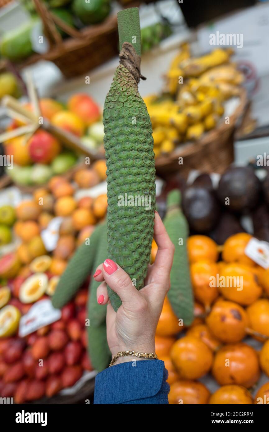 Ananas-banana fruit (Monstera deliciosa) at Mercado Dos Lavradores ...
