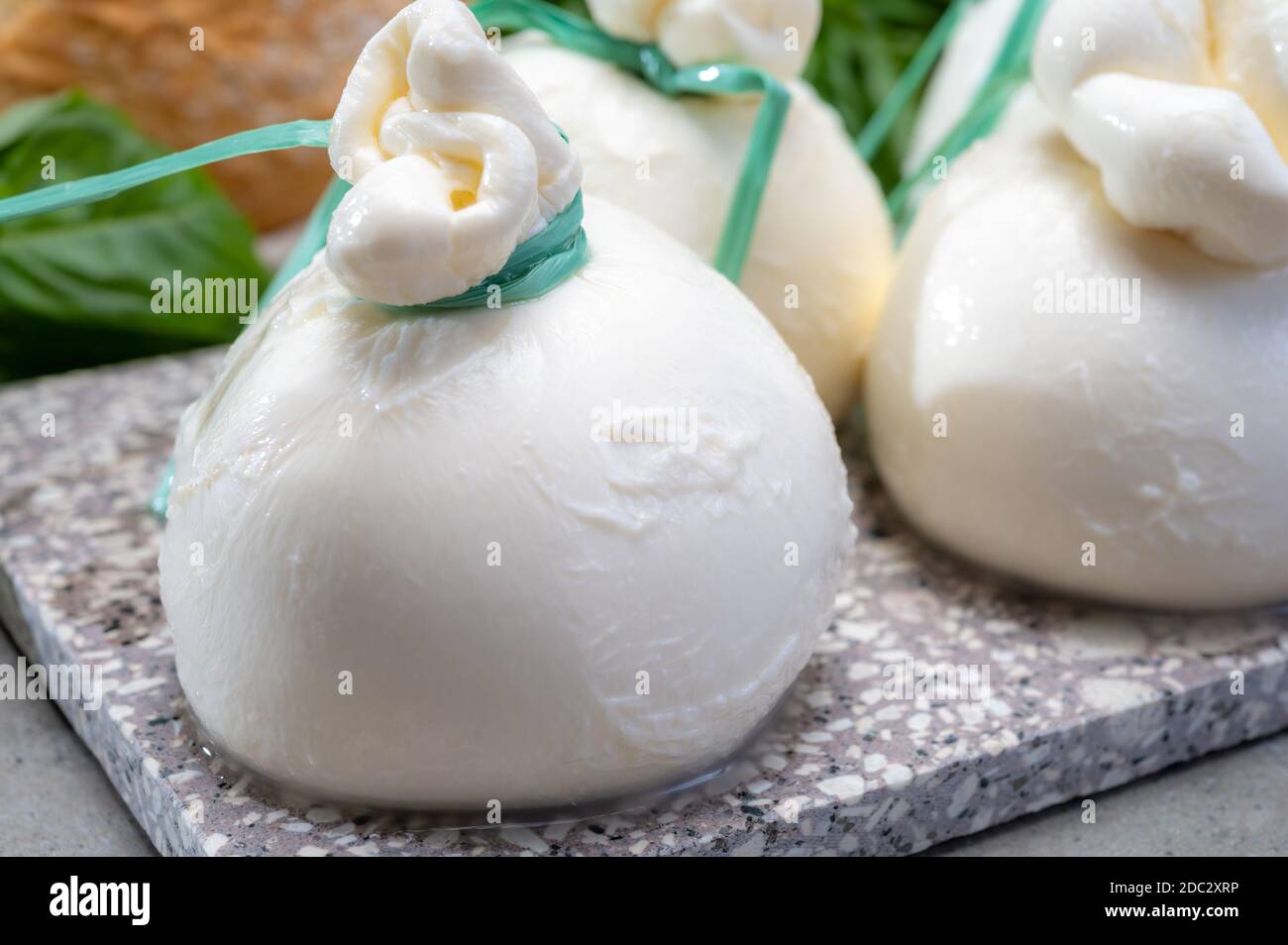 Cheese collection, fresh soft handmade Italian cheese from Puglia ...