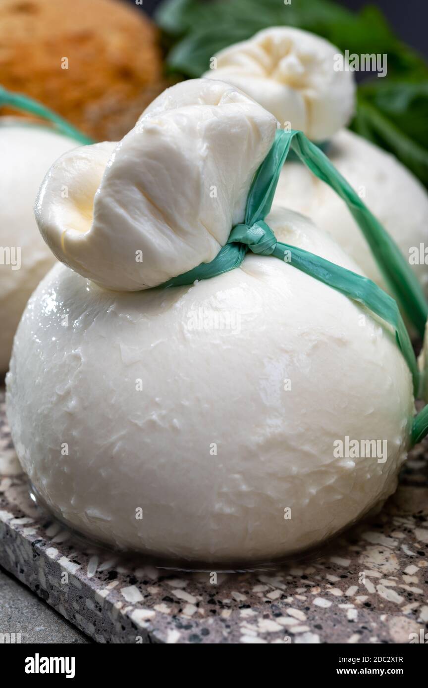 Cheese collection, fresh soft handmade Italian cheese from Puglia ...