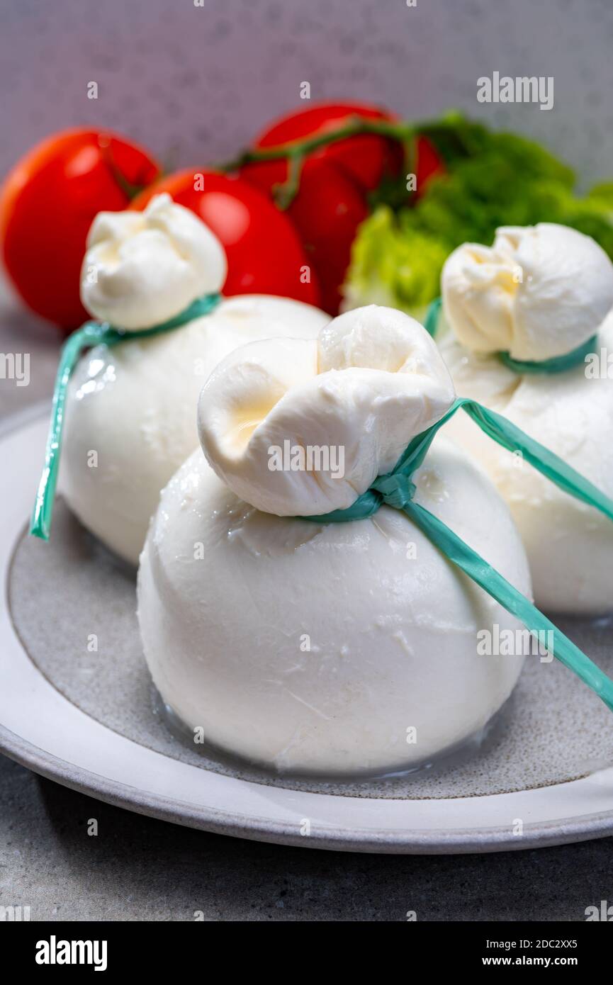 Cheese collection, fresh soft Italian cheese from Puglia, white balls ...