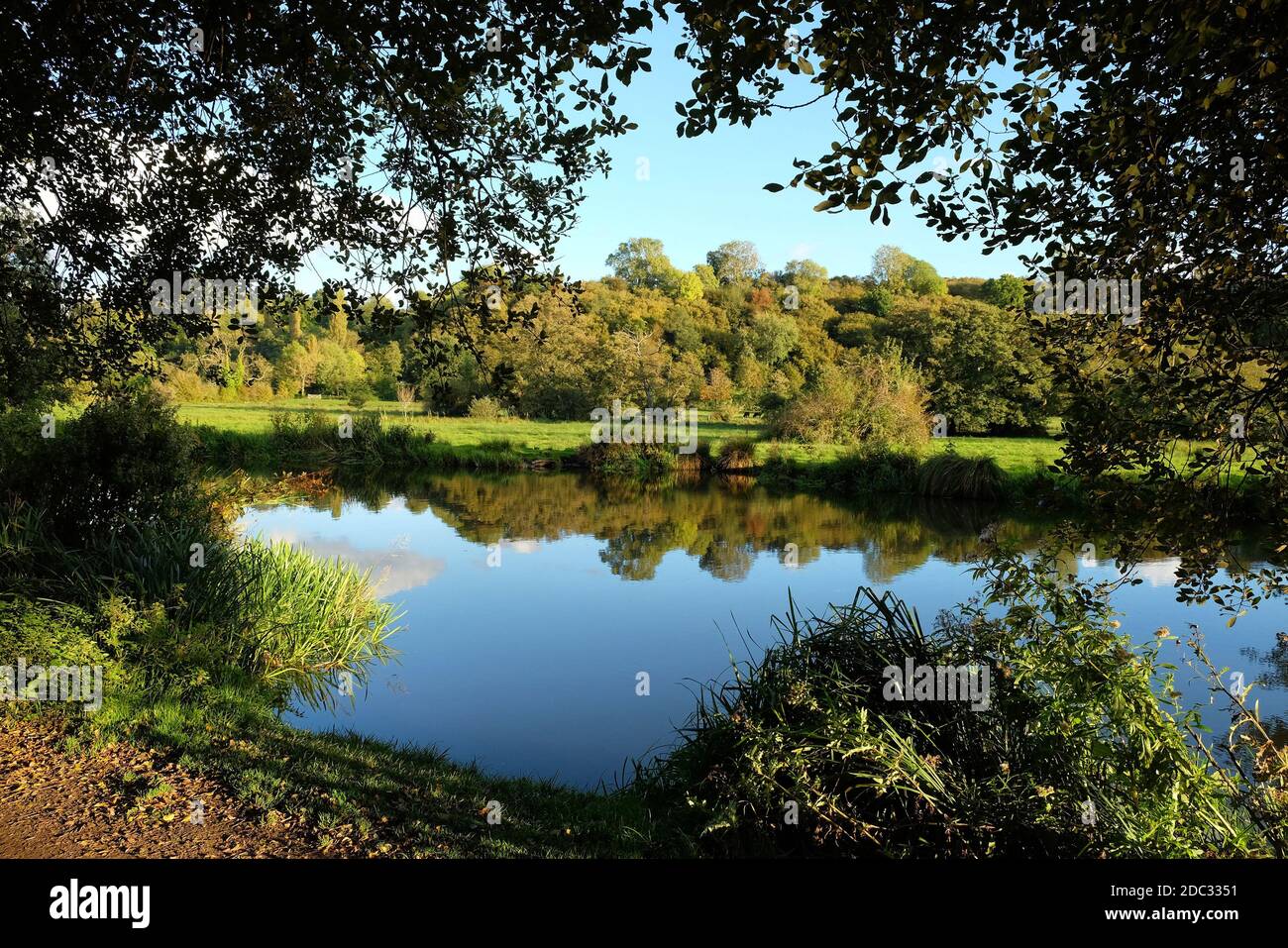 Late afternoon autumn sun on the banks of the River Wey, Godalming ...