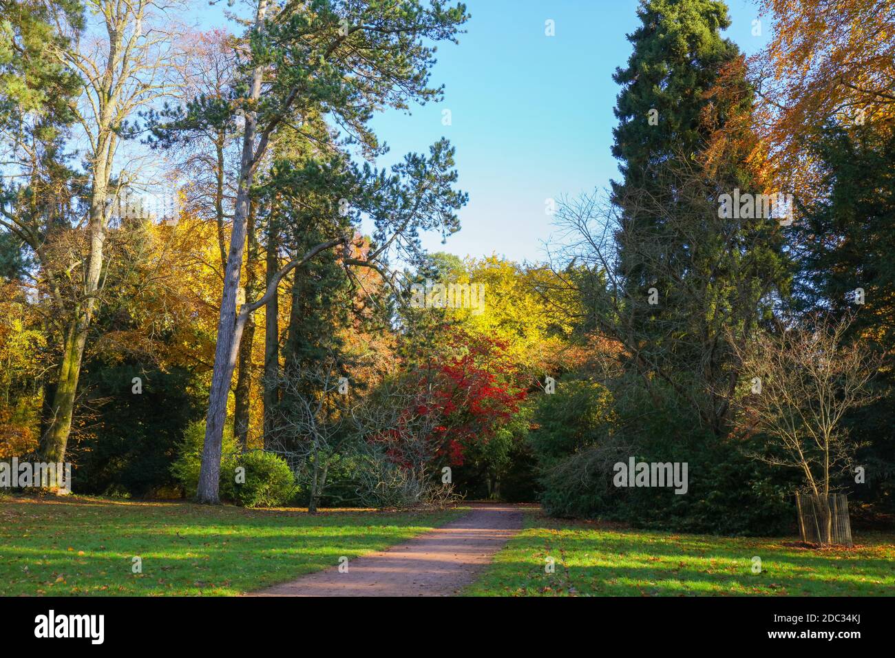Colourful autumn trees at in a Park with tree shadow and footpath ...