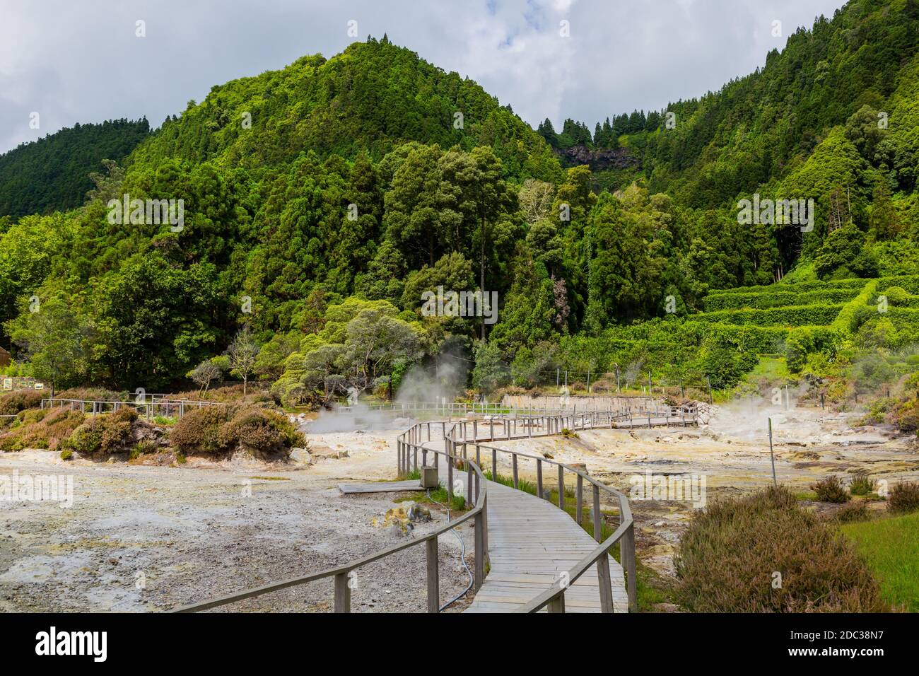 Furnas: the steam from Hot springs and fumaroles at the edge of lagoa ...