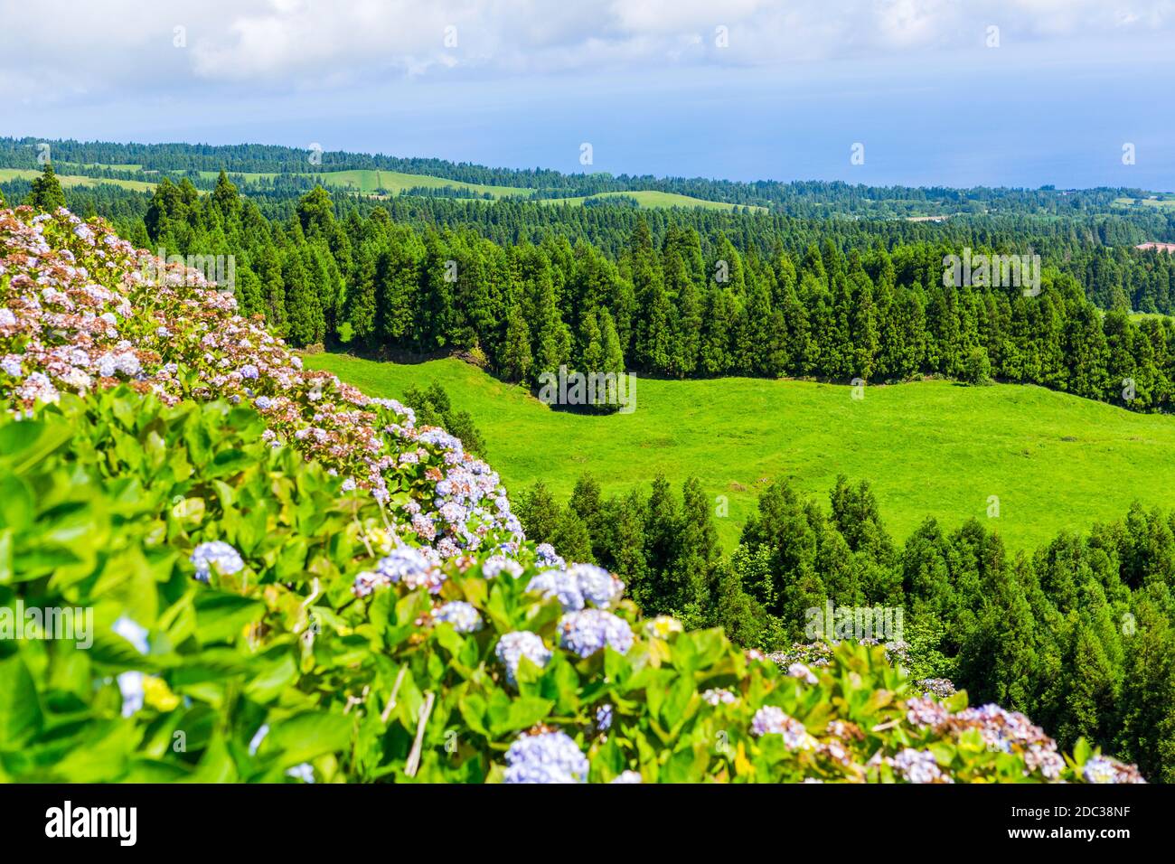 Beautiful landscape sceneries in Azores Portugal. Tropical nature in ...