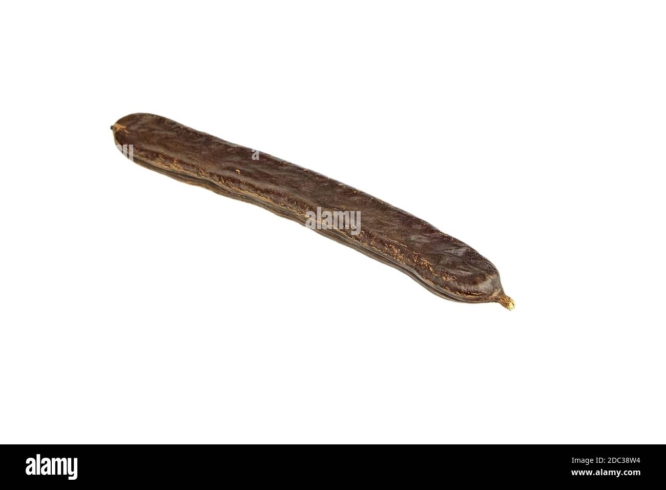 Single dry carob pod isolated on white background. Healthy organic ...