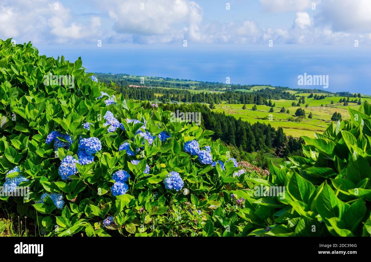 Beautiful landscape sceneries in Azores Portugal. Tropical nature in ...