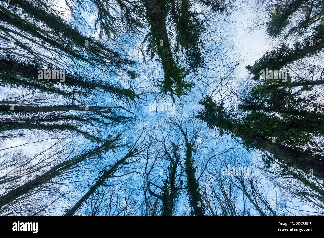 Chesham uk hi-res stock photography and images - Alamy