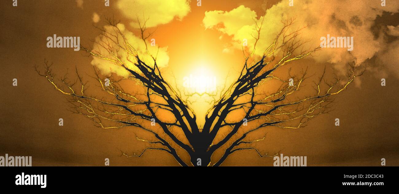 Mystic Tree of Life. Sunset or Sunrise. 3D rendering Stock Photo - Alamy