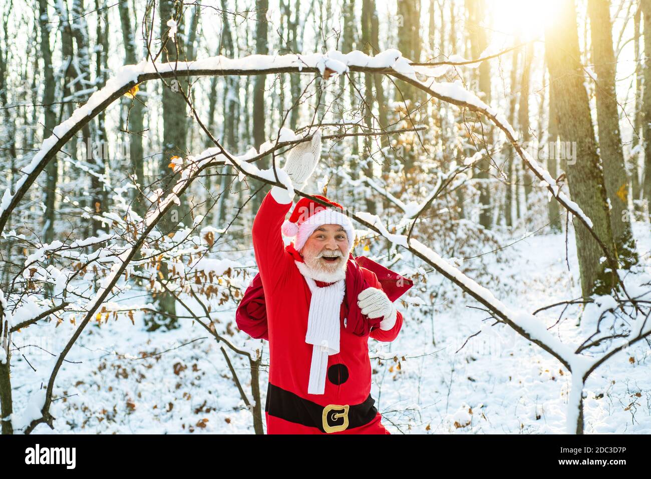 Santa Claus coming to the winter forest with a bag of gifts on snow ...