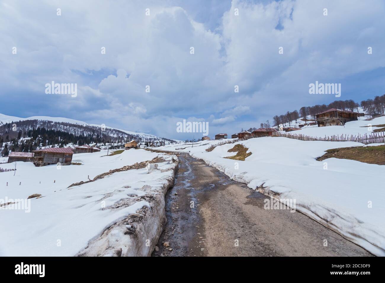 Bakhmaro in winter, Guria, Georgia. White nature of resort Bakhmaro in ...