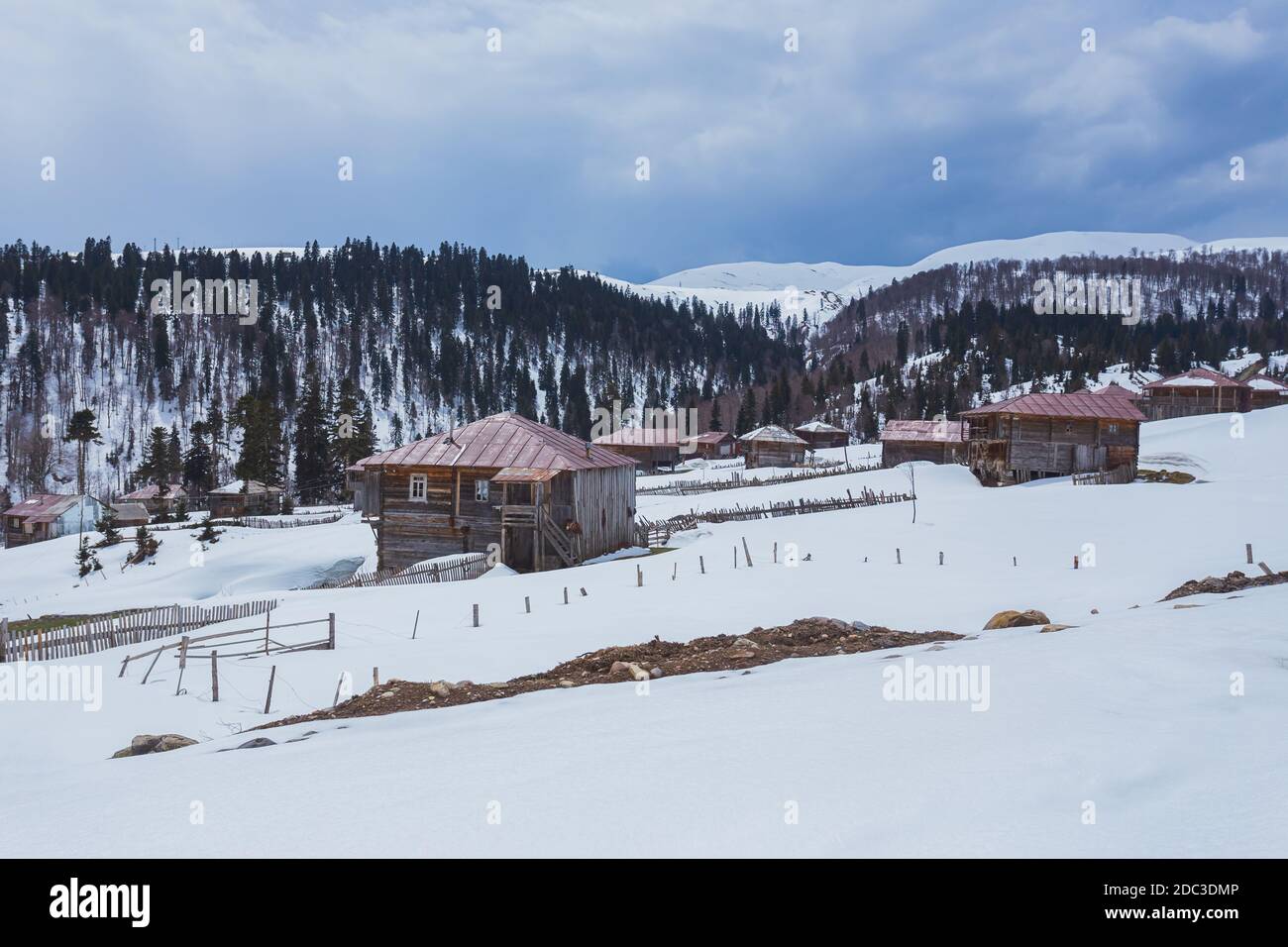 Bakhmaro in winter, Guria, Georgia. White nature of resort Bakhmaro in ...