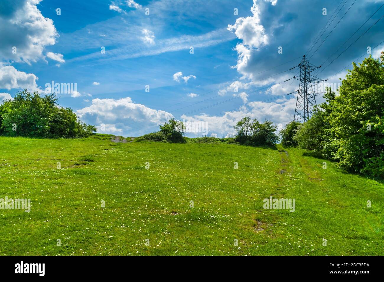 Pylon and electricity cables on a summer day at the Winterhills at ...