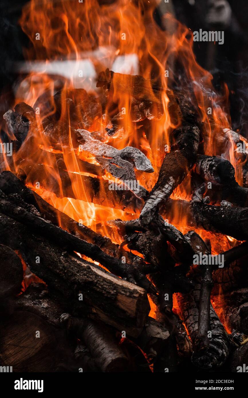 Fire burning tree branches, ember glowing Stock Photo - Alamy