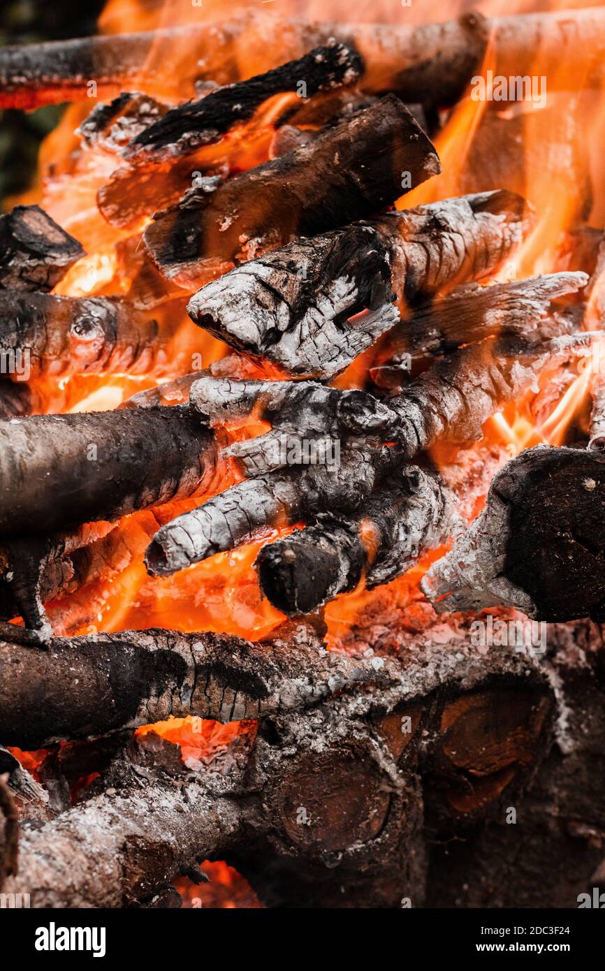 Fire burning tree branches, ember glowing Stock Photo - Alamy
