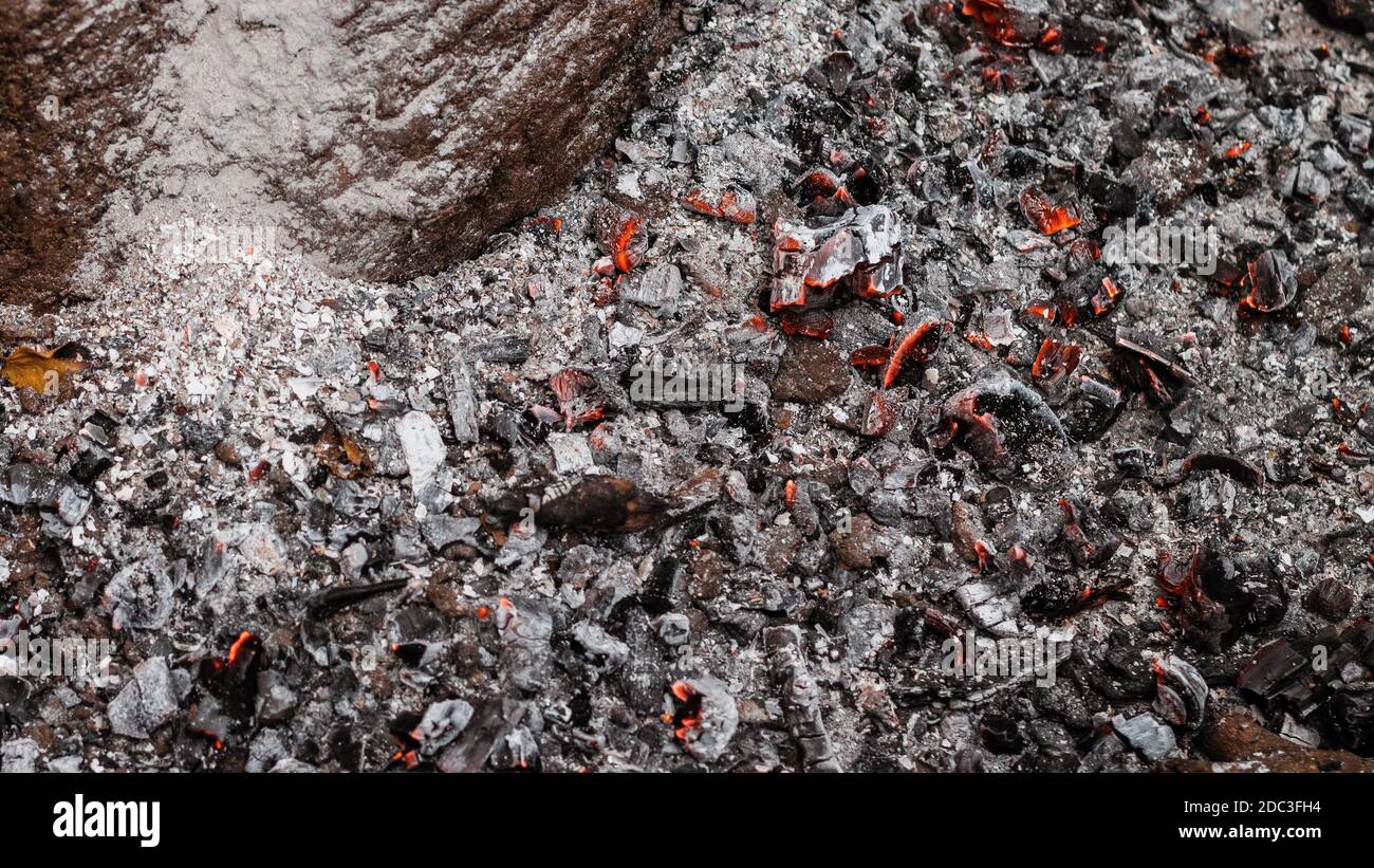 Fire burning tree branches, ember glowing Stock Photo - Alamy