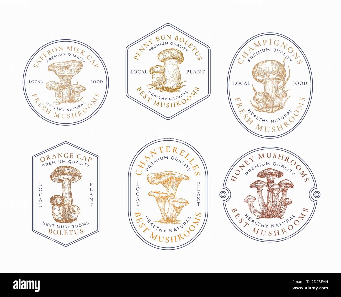 Fresh Local Mushrooms Abstract Frame Signs, Symbols or Logo Templates ...