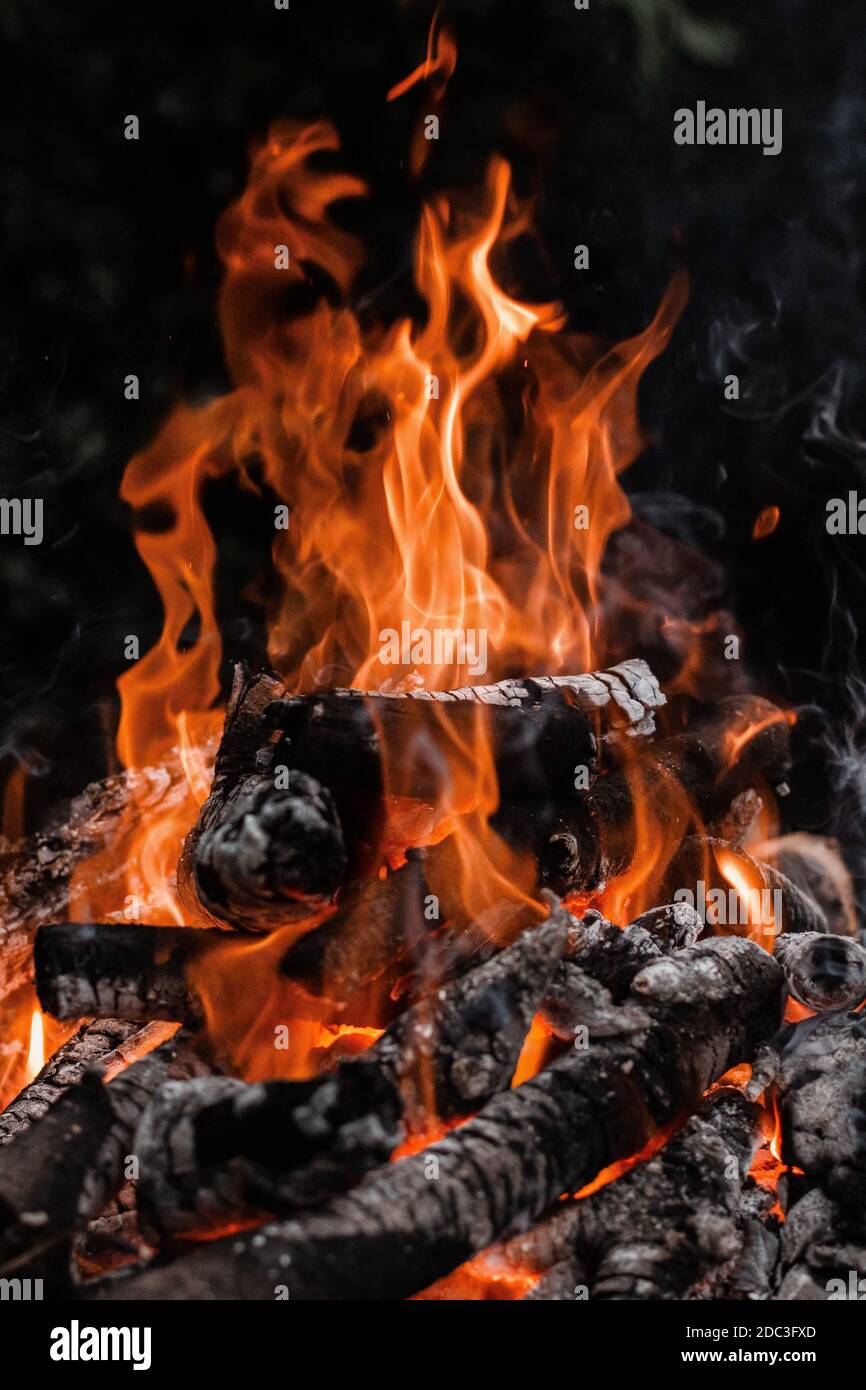 Fire burning tree branches, ember glowing Stock Photo - Alamy