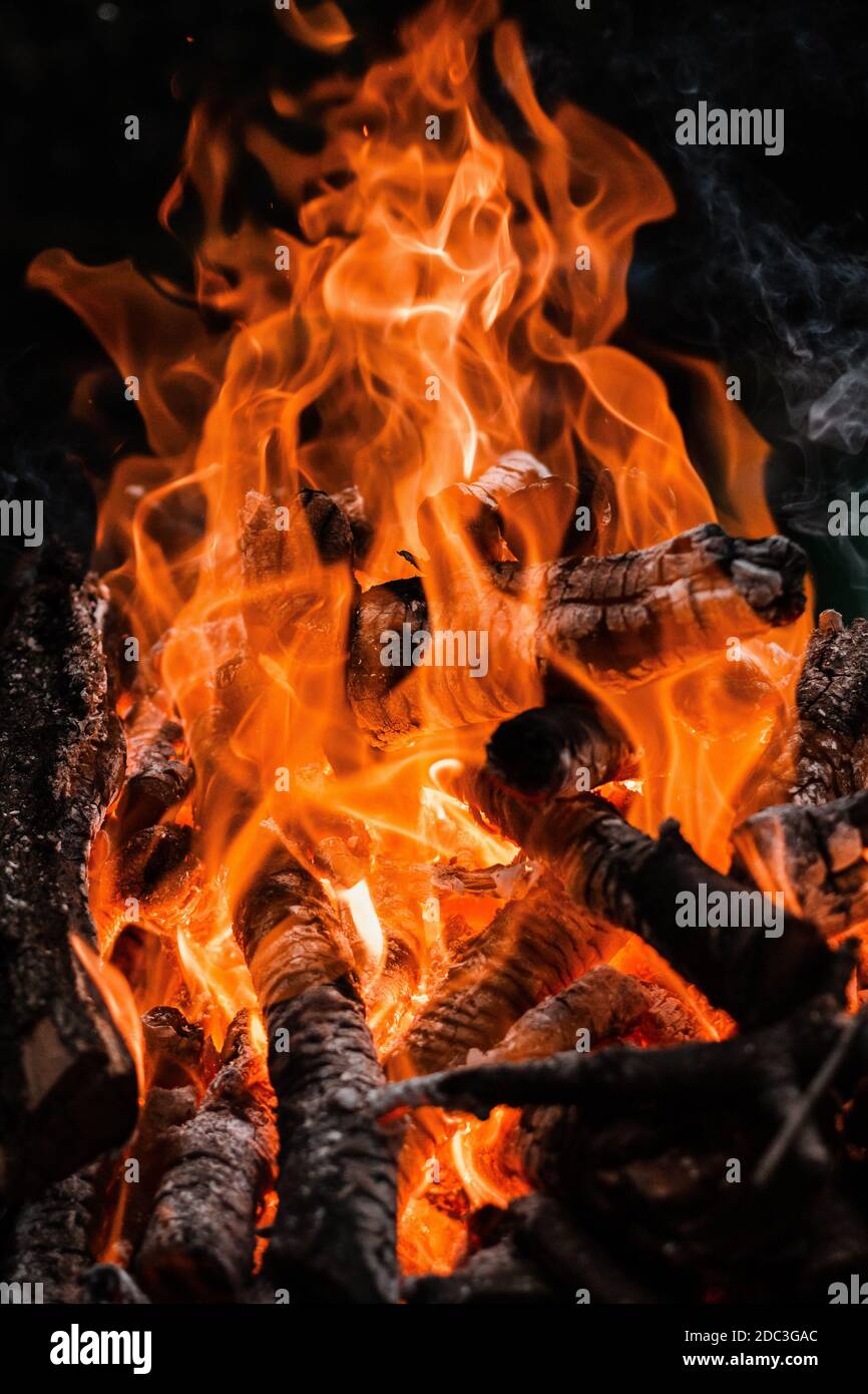 Fire burning tree branches, ember glowing Stock Photo - Alamy