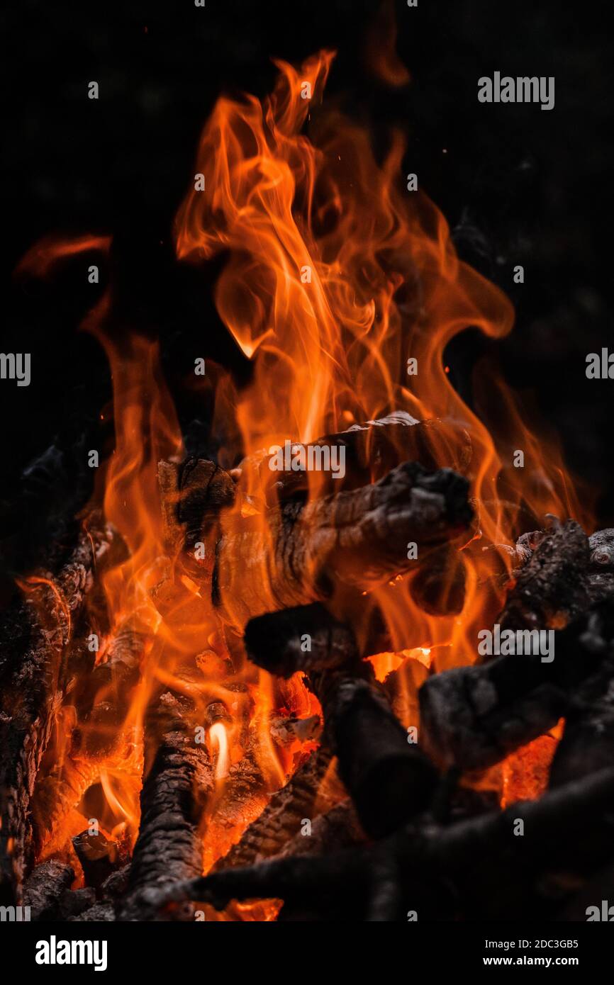 Fire burning tree branches, ember glowing Stock Photo - Alamy