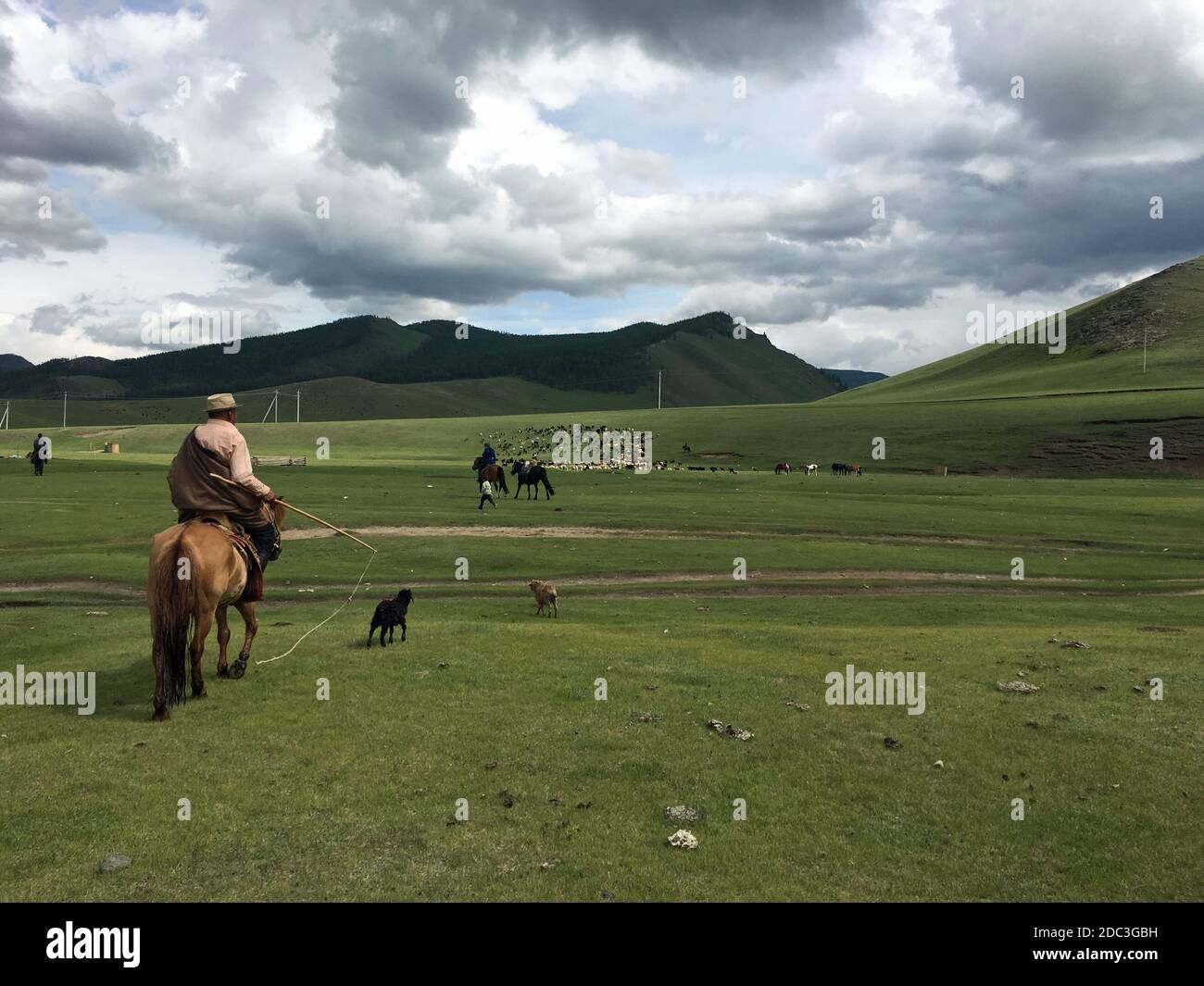 A shepherd watching his goats in Mongolia Stock Photo - Alamy