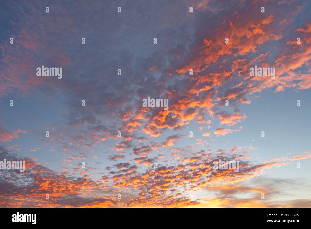 Afterglow, sky with altocumulus clouds Stock Photo - Alamy