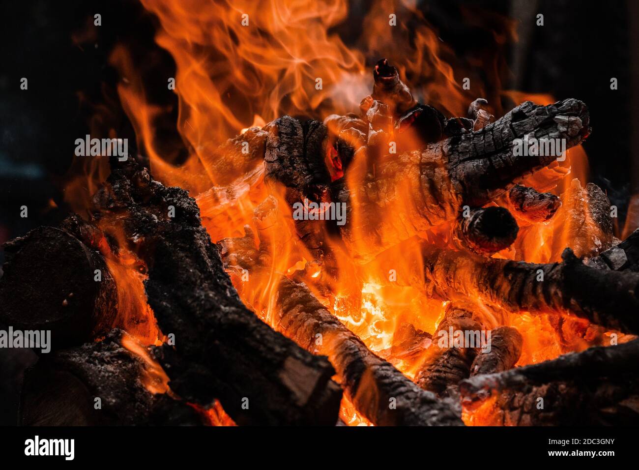 Fire burning tree branches, ember glowing Stock Photo - Alamy