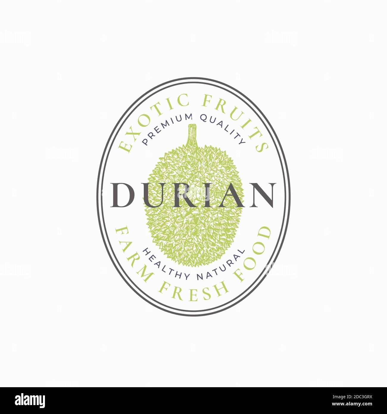 Durian Oval Frame Badge or Logo Template. Hand Drawn Fruits Sketch with ...